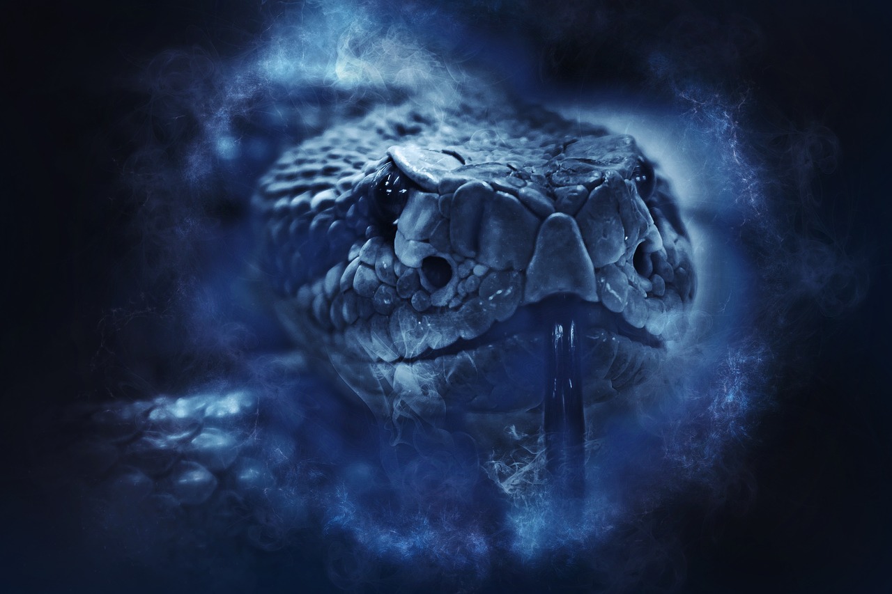 Rêver De Serpents Quelles Significations Sosvoyants